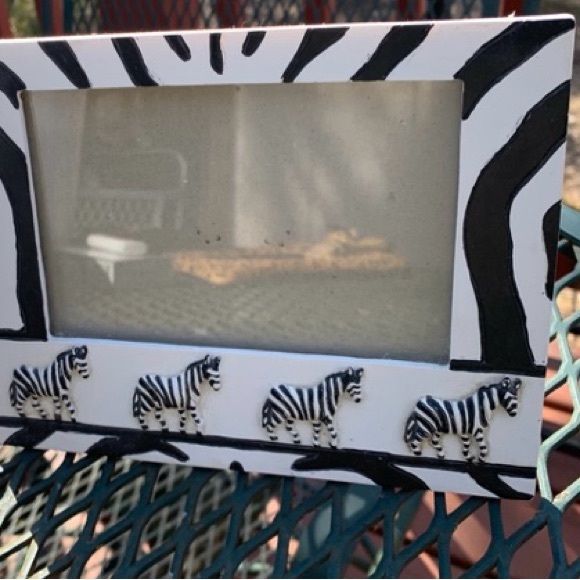 Accents | Zebra Striped Photo Frame Raised Graphics | Poshmark